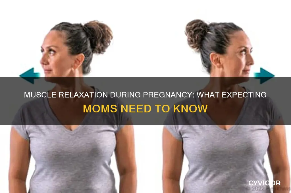 Muscle Relaxation During Pregnancy: What Expecting Moms Need To Know ...