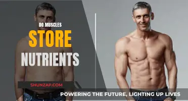How Muscles Stabilize Joints And Prevent Injuries | CyVigor