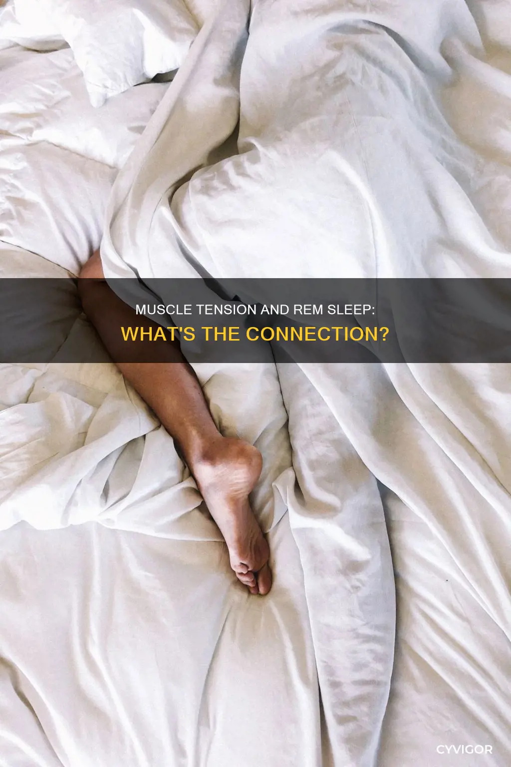 Muscle Tension And Rem Sleep: What's The Connection? | CyVigor