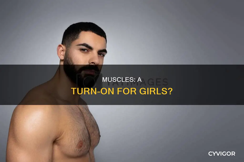Muscles: A Turn-On For Girls? | CyVigor