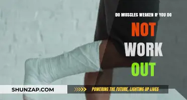 Muscle Water Retention: Post-Workout Swelling Explained And Remedies ...