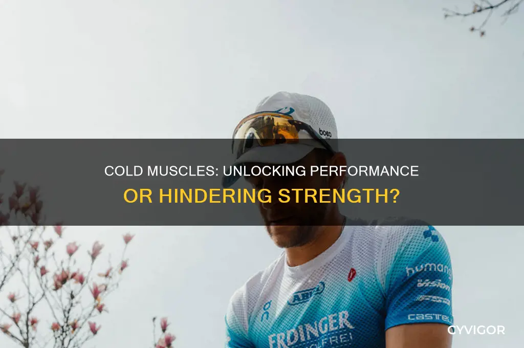 Cold Muscles: Unlocking Performance Or Hindering Strength? | CyVigor