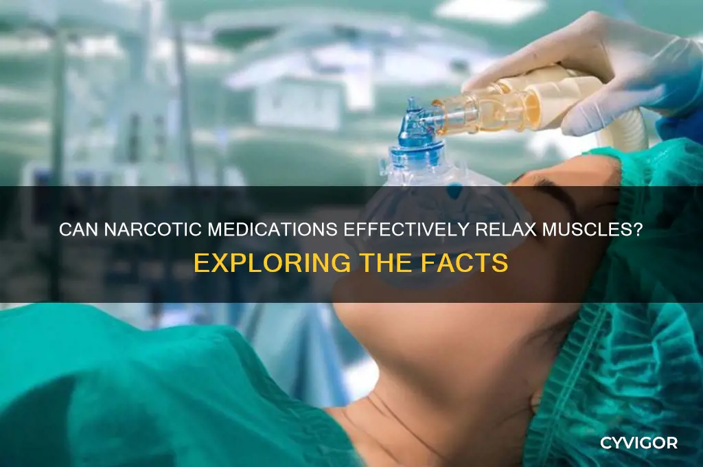 Can Narcotic Medications Effectively Relax Muscles? Exploring The Facts ...