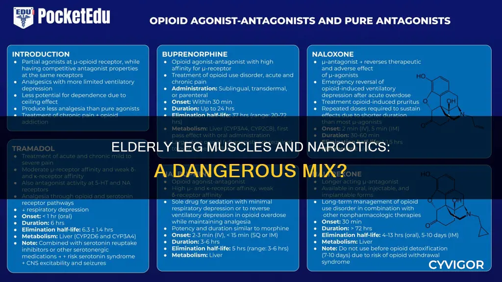 Elderly Leg Muscles And Narcotics: A Dangerous Mix? | CyVigor