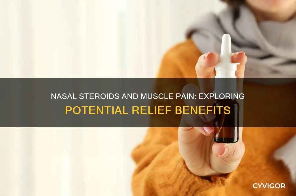 Nasal Steroids And Muscle Pain: Exploring Potential Relief Benefits ...