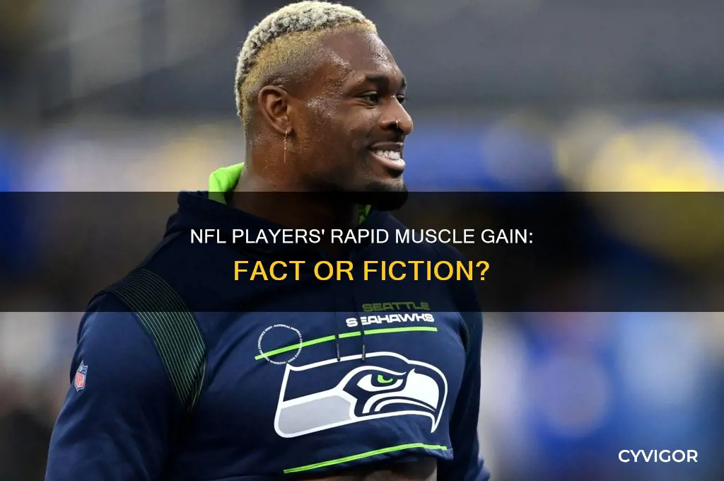 Nfl Players' Rapid Muscle Gain: Fact Or Fiction? | CyVigor