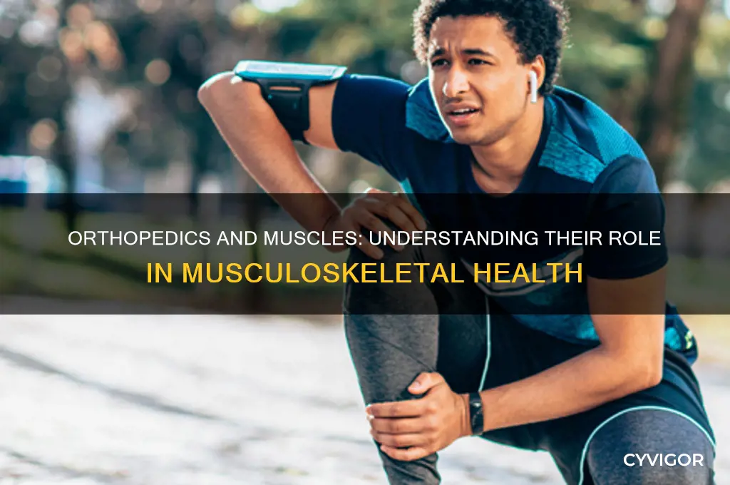 Orthopedics And Muscles: Understanding Their Role In Musculoskeletal ...
