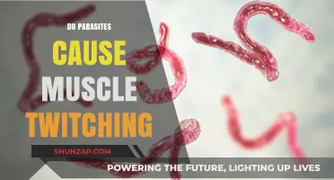 Opioids And Muscle Twitching: What's The Connection? | CyVigor