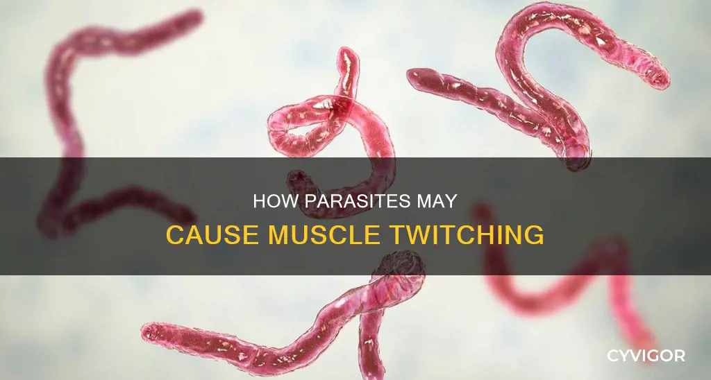 How Parasites May Cause Muscle Twitching | CyVigor