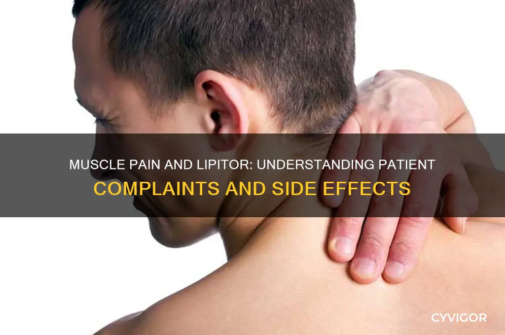 Muscle Pain And Lipitor: Understanding Patient Complaints And Side ...