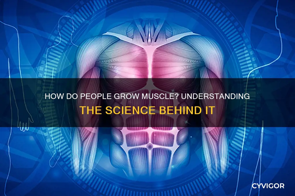 How Do People Grow Muscle? Understanding The Science Behind It | CyVigor