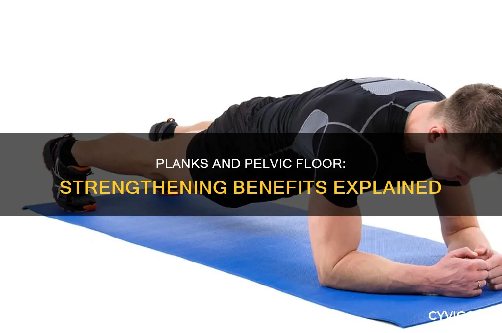 Planks And Pelvic Floor: Strengthening Benefits Explained | CyVigor