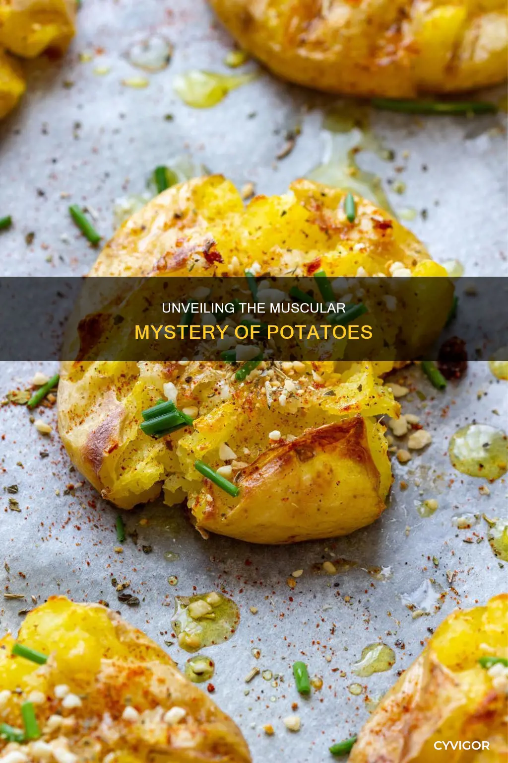 Unveiling The Muscular Mystery Of Potatoes | CyVigor