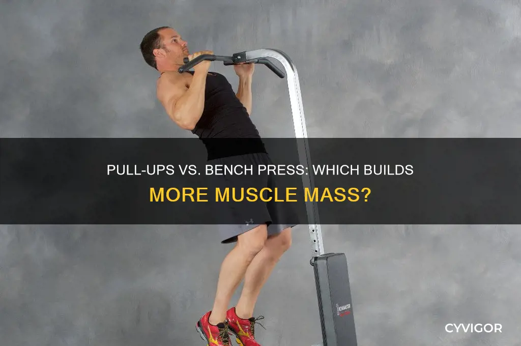 Pull-Ups Vs. Bench Press: Which Builds More Muscle Mass? | CyVigor