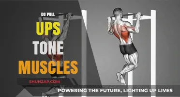 Do Pull-Ups Tone Muscles? Unlocking Upper Body Strength And Definition ...