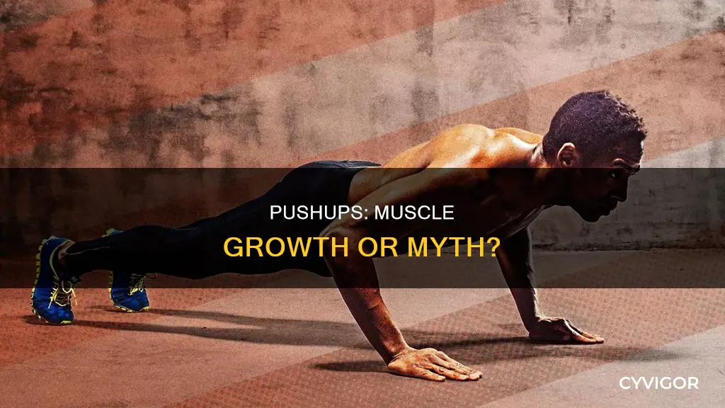 Pushups: Muscle Growth Or Myth? | CyVigor
