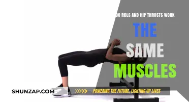 Rdls Vs. Good Mornings: Which Muscles Do They Target? | CyVigor