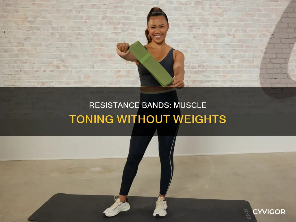 Resistance Bands: Muscle Toning Without Weights | CyVigor
