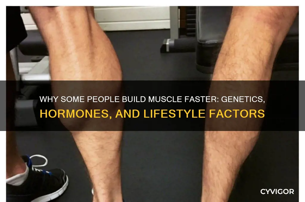 Why Some People Build Muscle Faster: Genetics, Hormones, And Lifestyle ...