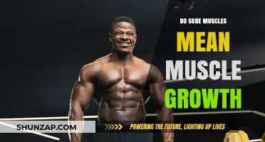 Understanding Muscle Soreness During Illness: Causes And Remedies | CyVigor