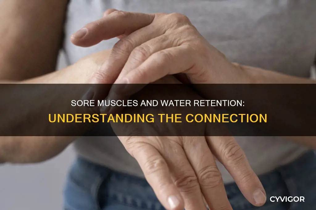 Sore Muscles And Water Retention: Understanding The Connection | CyVigor