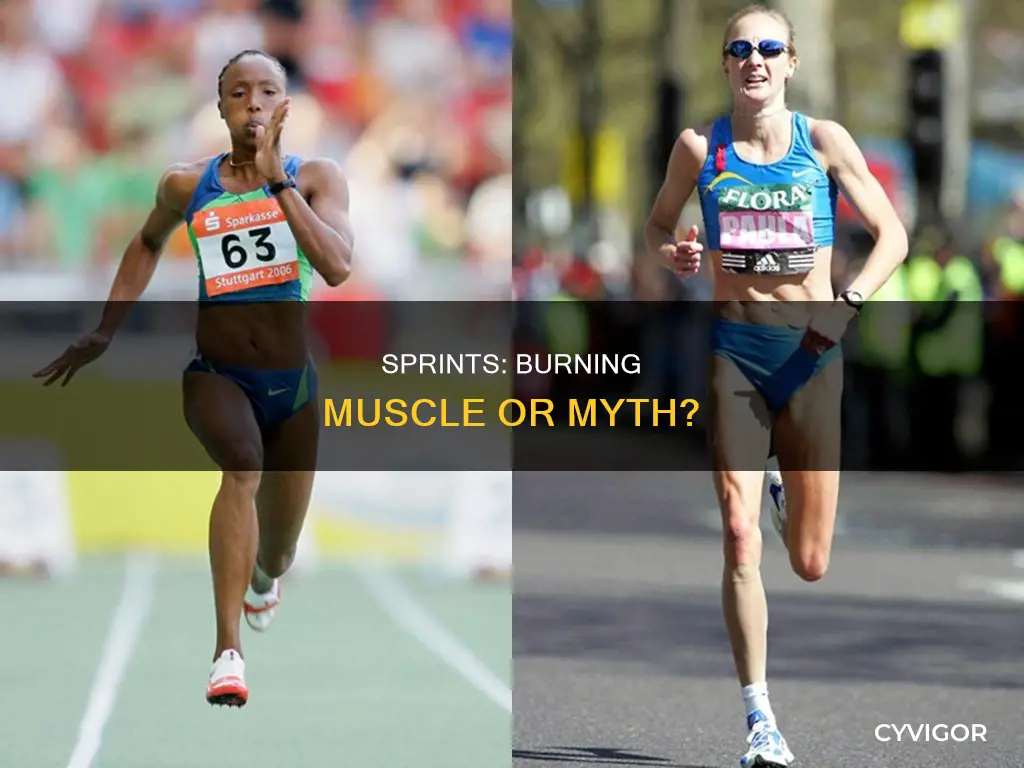 Sprints: Burning Muscle Or Myth? | CyVigor