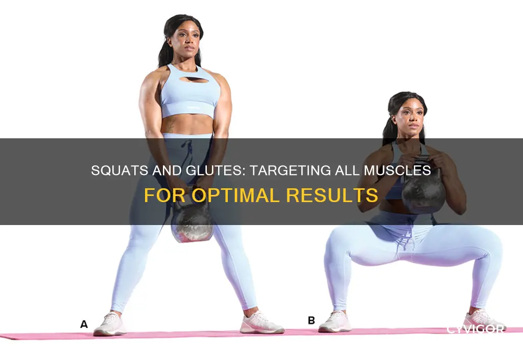 Squats And Glutes: Targeting All Muscles For Optimal Results | CyVigor