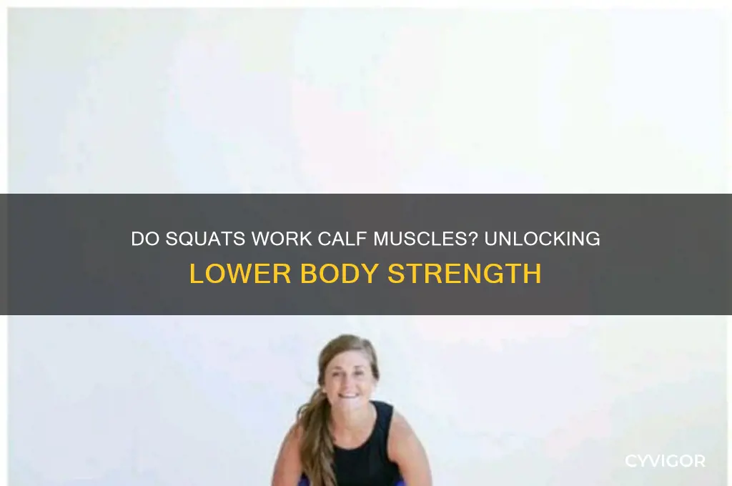 Do Squats Work Calf Muscles? Unlocking Lower Body Strength | CyVigor