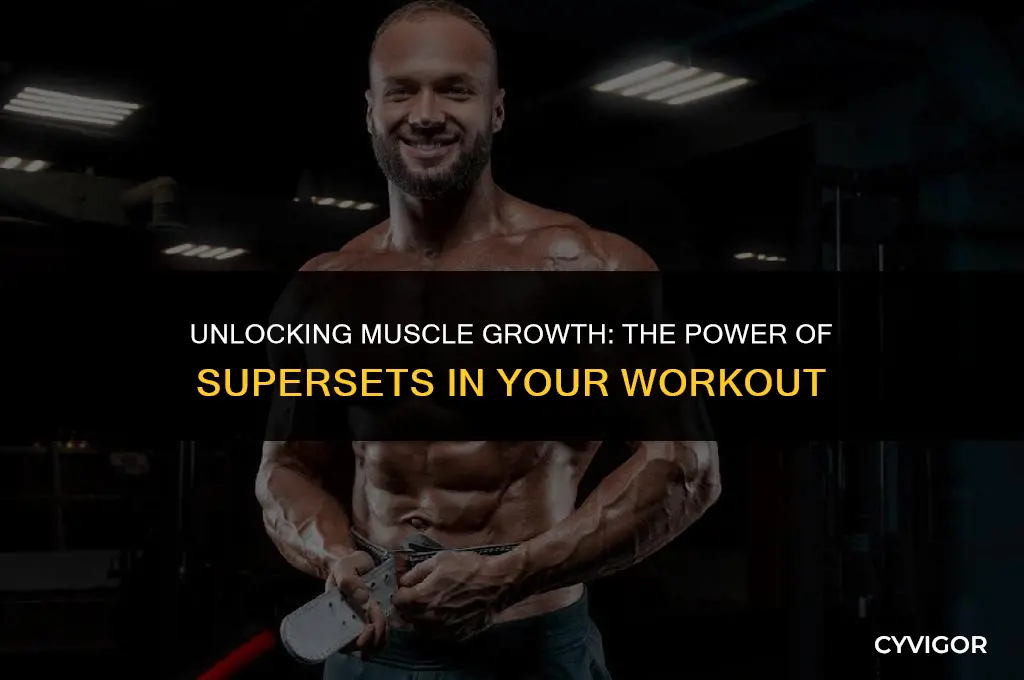 Unlocking Muscle Growth: The Power Of Supersets In Your Workout | CyVigor