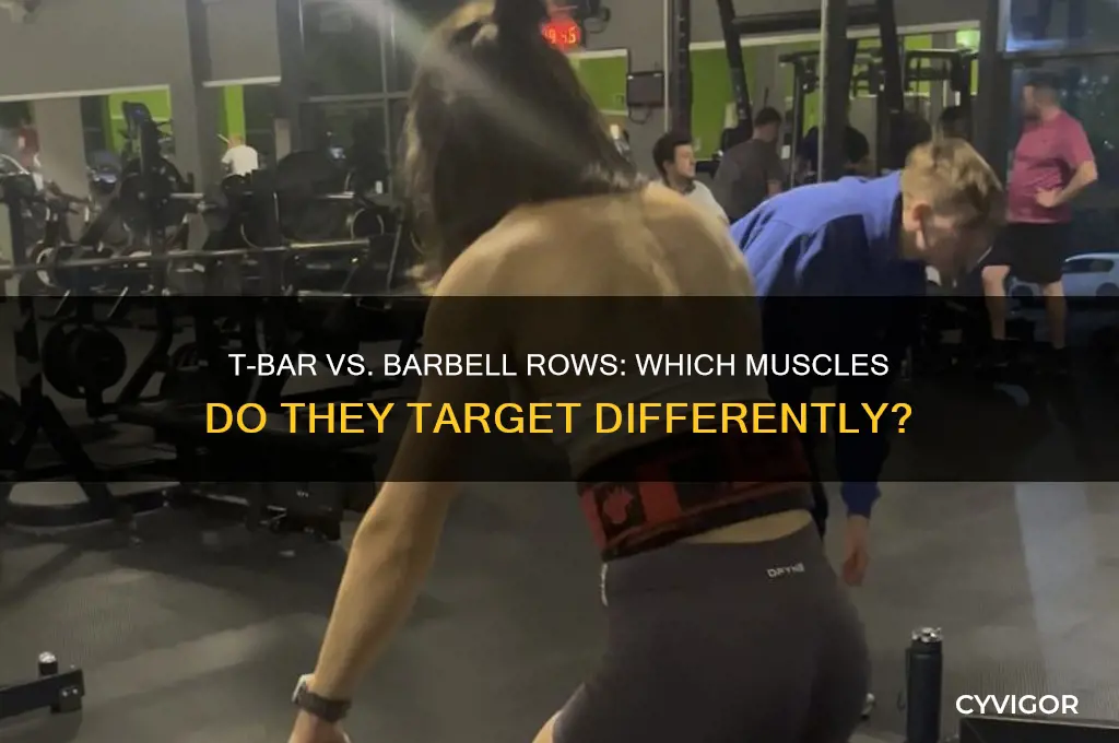 T-Bar Vs. Barbell Rows: Which Muscles Do They Target Differently? | CyVigor