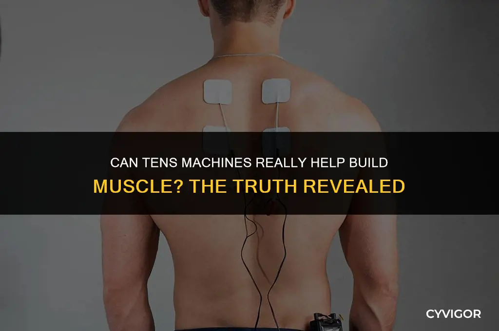 Can Tens Machines Really Help Build Muscle? The Truth Revealed | CyVigor