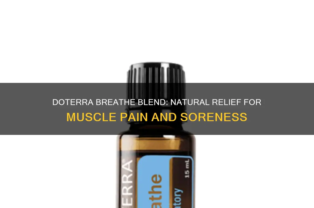 Doterra Breathe Blend: Natural Relief For Muscle Pain And Soreness ...