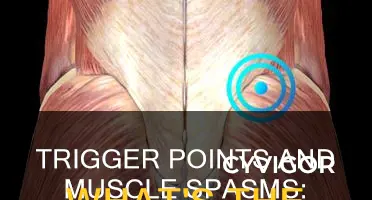 Trigger Points And Muscle Spasms: What's The Link? | CyVigor
