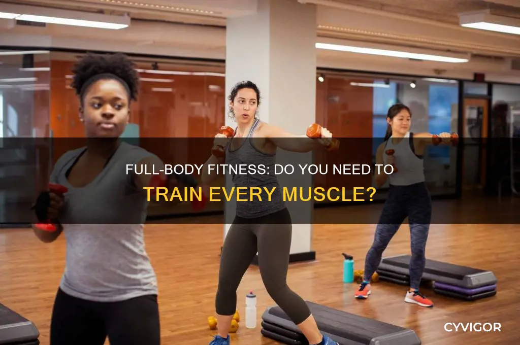 Full-Body Fitness: Do You Need To Train Every Muscle? | CyVigor
