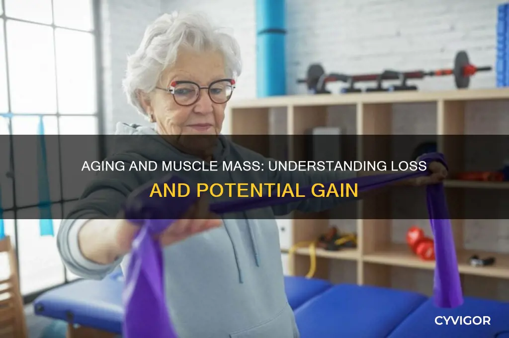 Aging And Muscle Mass: Understanding Loss And Potential Gain | CyVigor