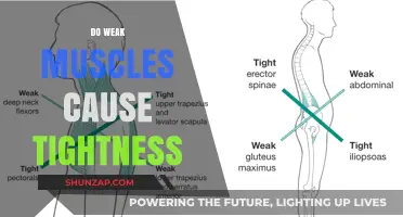 Tight Hamstrings: The Surprising Cause Of Your Back Pain? | CyVigor