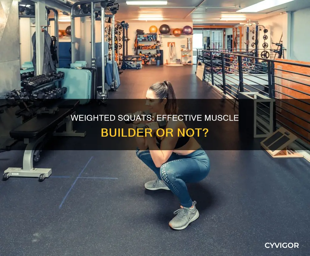 Weighted Squats: Effective Muscle Builder Or Not? | CyVigor