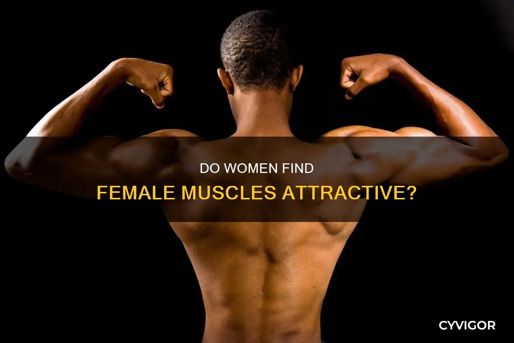 Do Women Find Female Muscles Attractive? | CyVigor