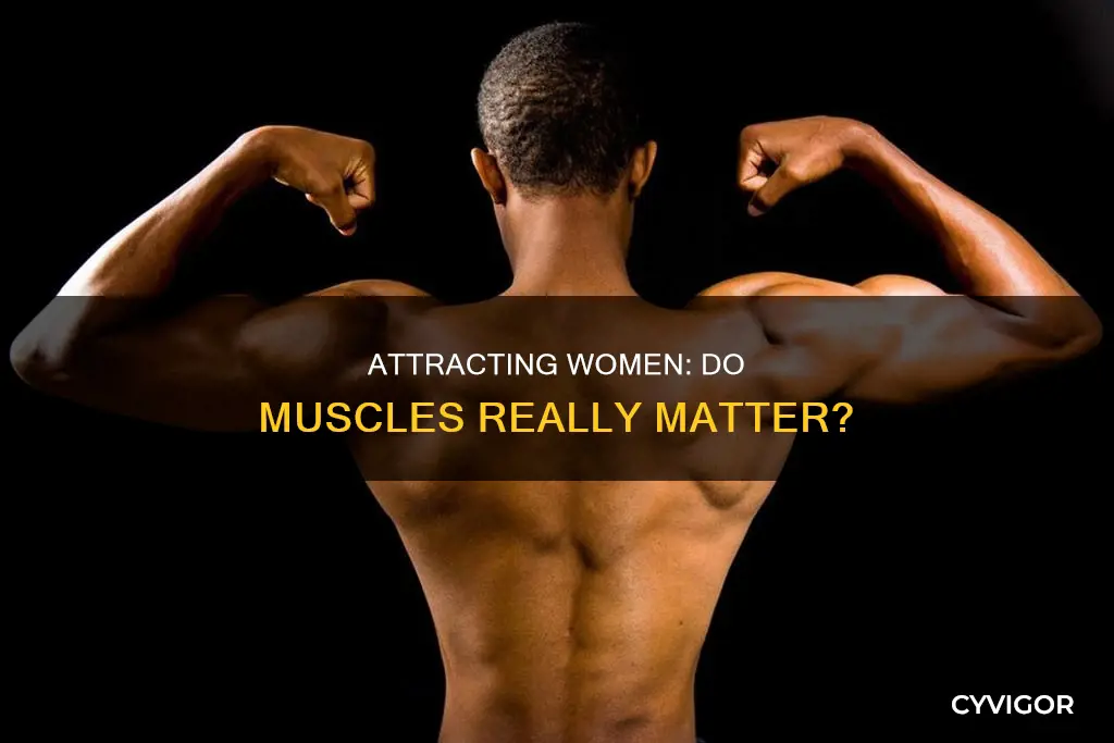Attracting Women: Do Muscles Really Matter? | CyVigor