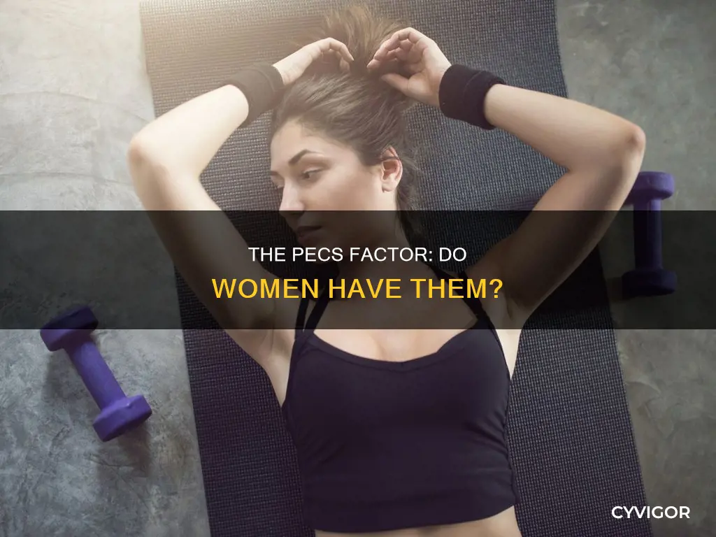 The Pecs Factor: Do Women Have Them? | CyVigor