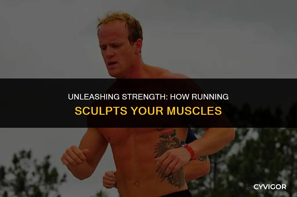 Unleashing Strength: How Running Sculpts Your Muscles | CyVigor