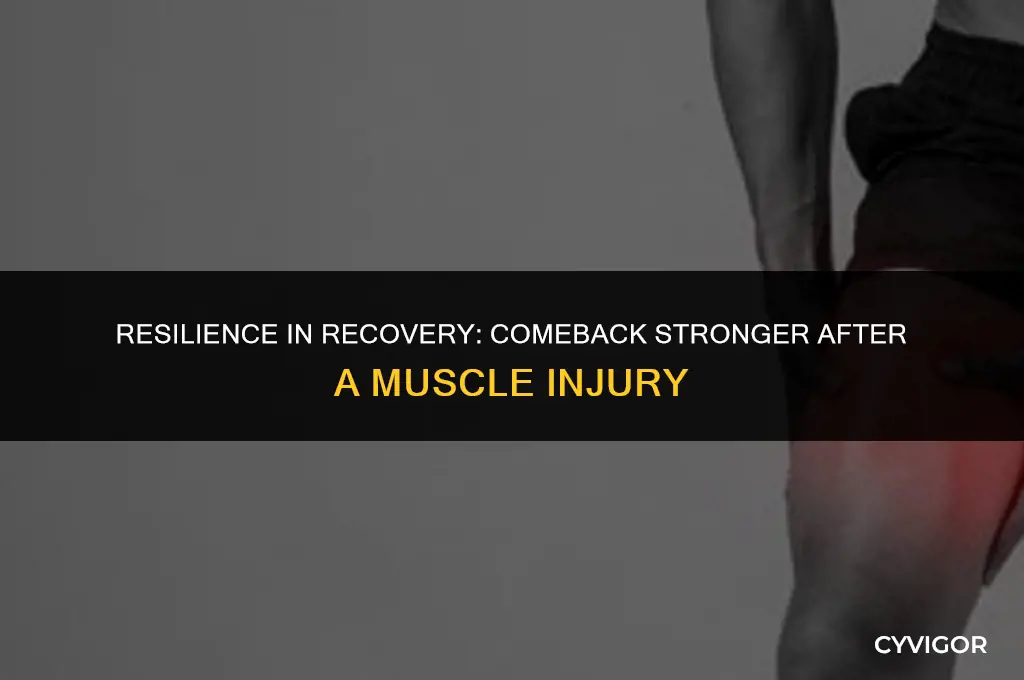 Resilience In Recovery: Comeback Stronger After A Muscle Injury | CyVigor