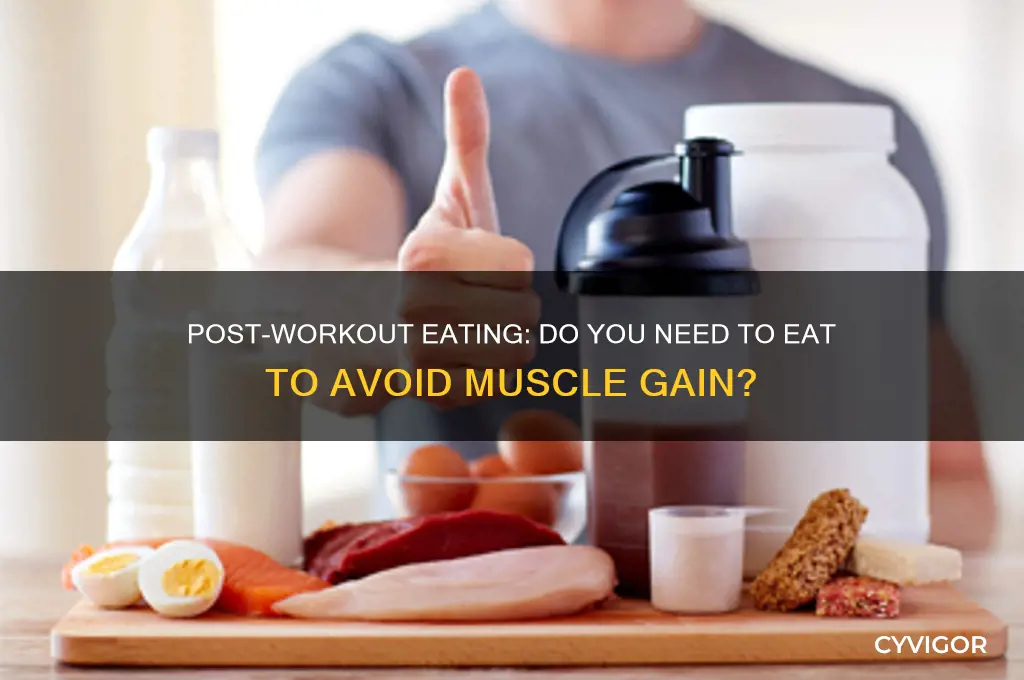 Post-Workout Eating: Do You Need To Eat To Avoid Muscle Gain? | CyVigor