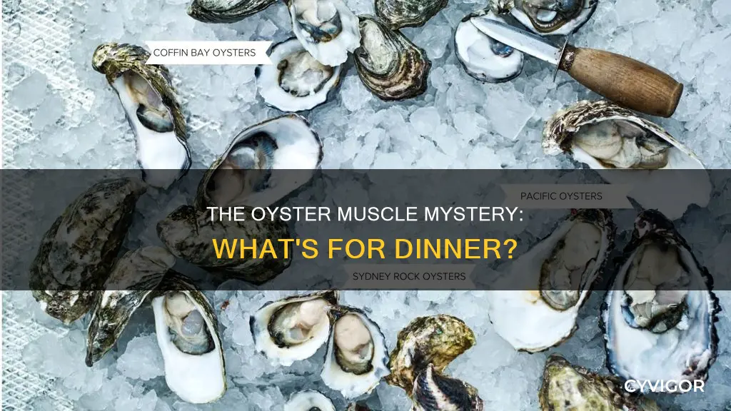 The Oyster Muscle Mystery: What's For Dinner? | CyVigor