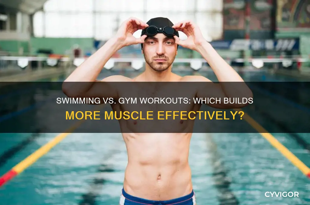 Swimming Vs. Gym Workouts: Which Builds More Muscle Effectively? | CyVigor