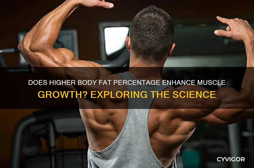 Does Higher Body Fat Percentage Enhance Muscle Growth? Exploring The ...