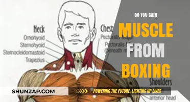 Can Cardio Build Muscle? Unraveling The Truth Behind Muscle Gain | CyVigor