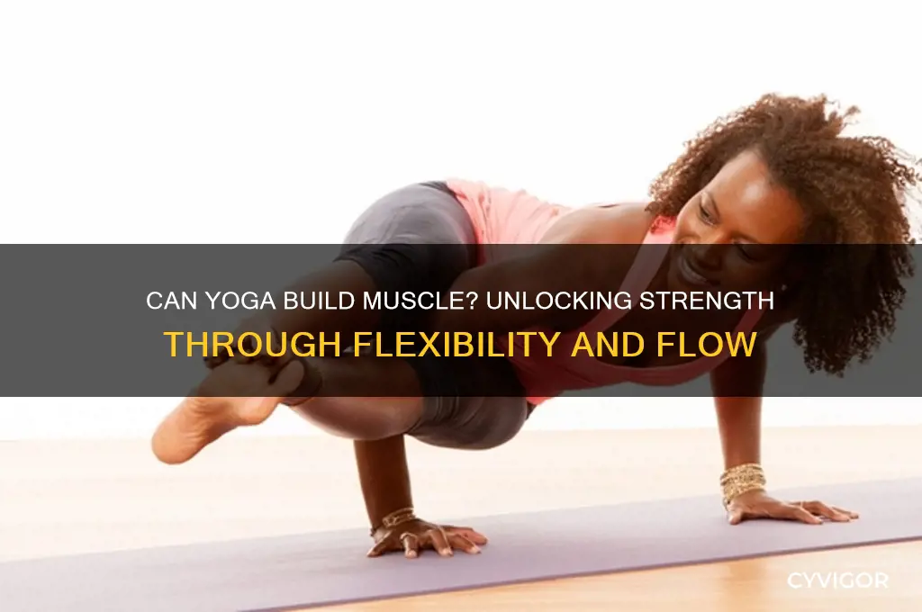 Can Yoga Build Muscle? Unlocking Strength Through Flexibility And Flow ...
