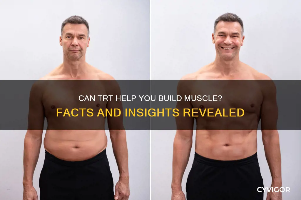 Can Trt Help You Build Muscle? Facts And Insights Revealed | CyVigor