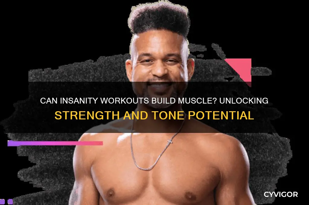 Can Insanity Workouts Build Muscle? Unlocking Strength And Tone ...